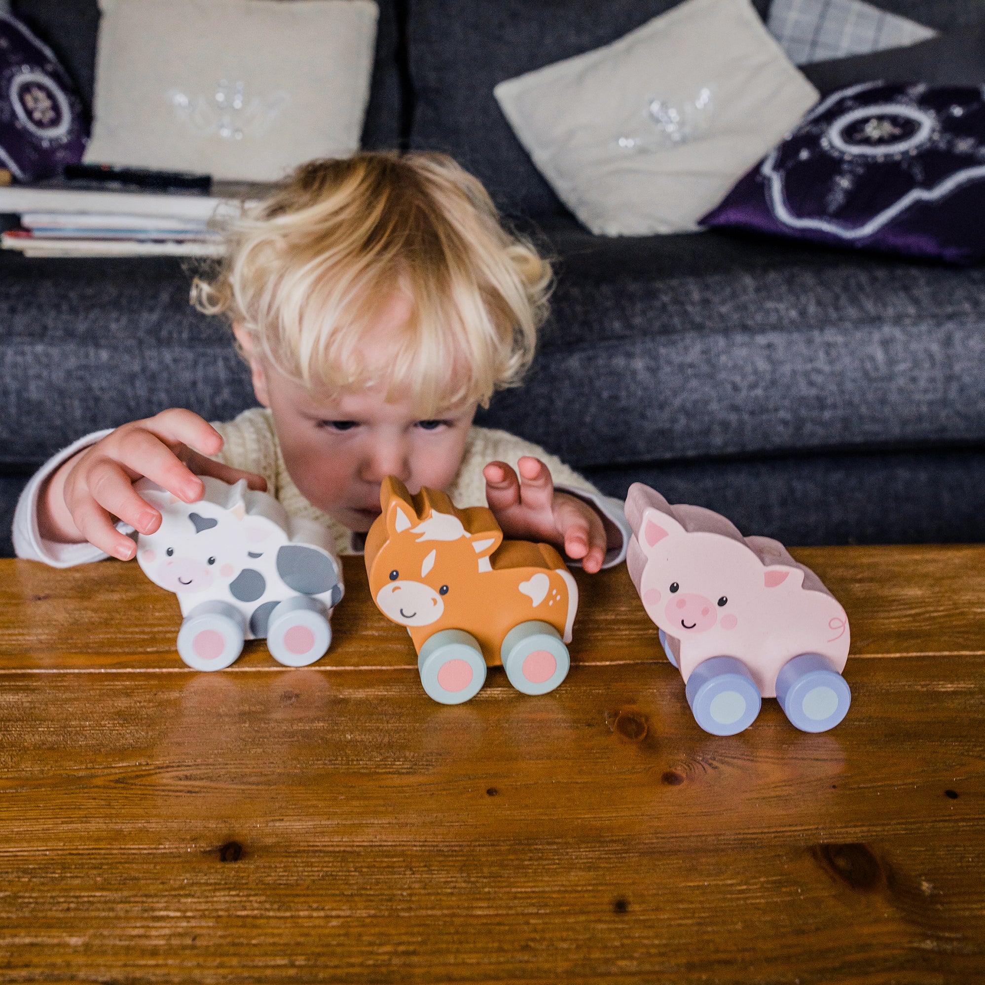 Pig First Push Toy– Orange Tree Toys