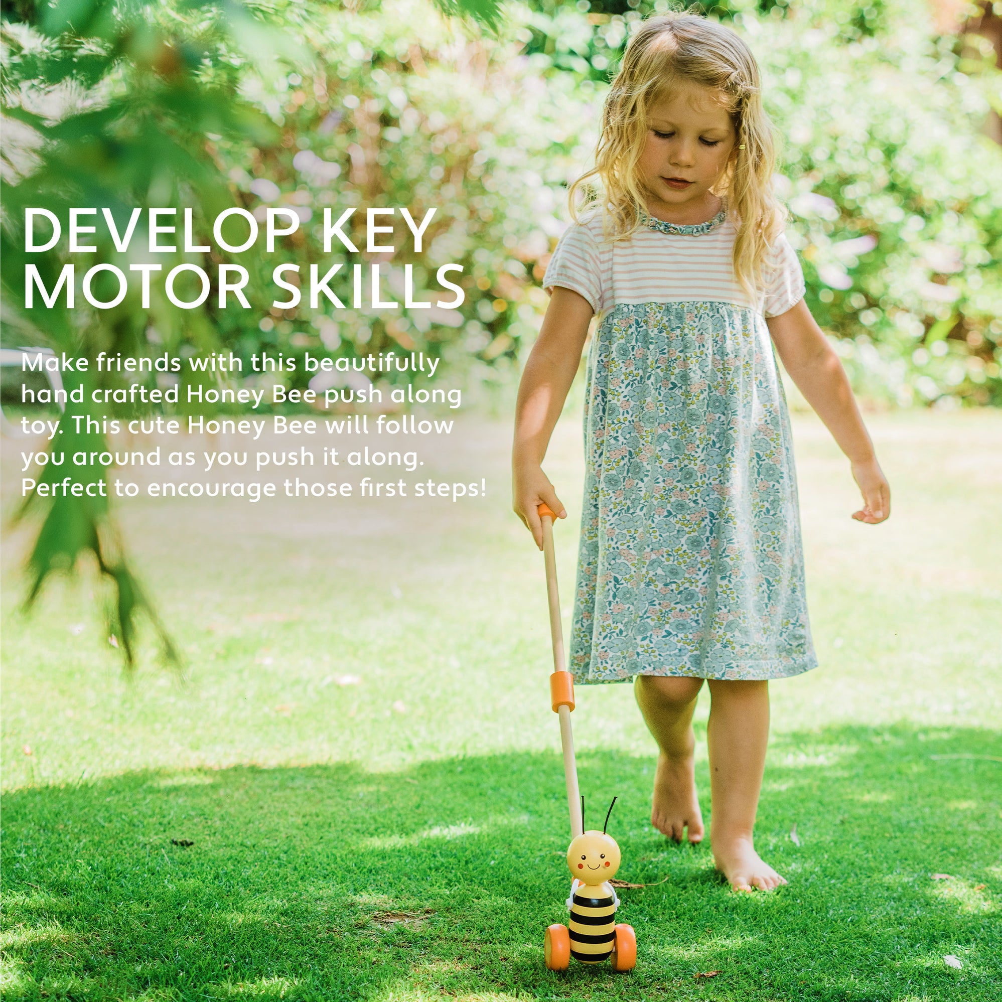 Push Along Honey Bee– Orange Tree Toys